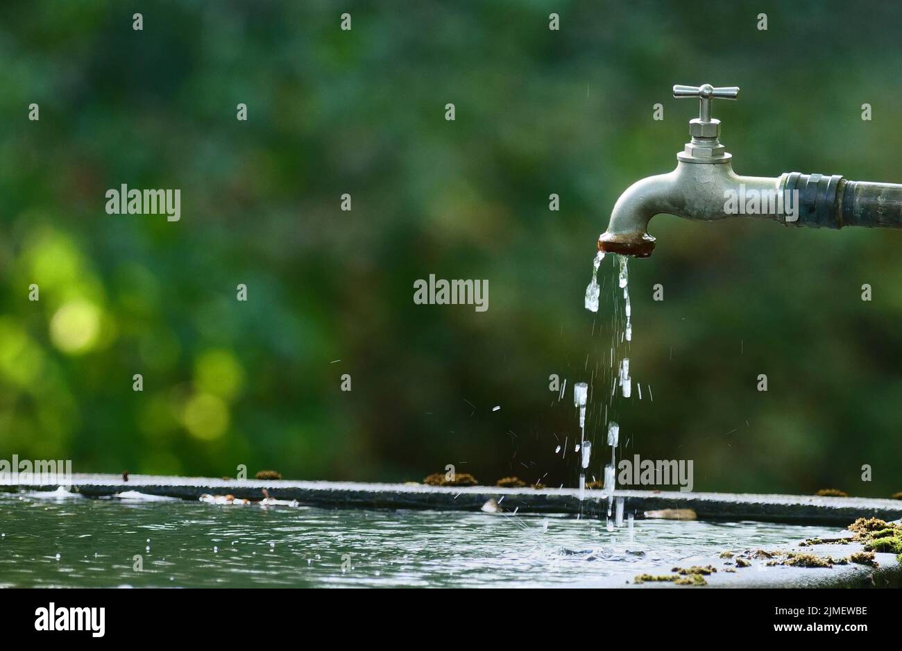Properly turned out hi-res stock photography and images - Alamy