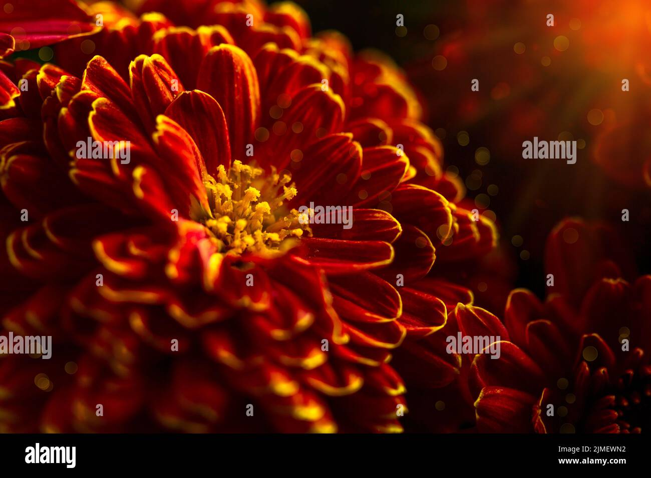 Close up red orange light hi-res stock photography and images - Alamy