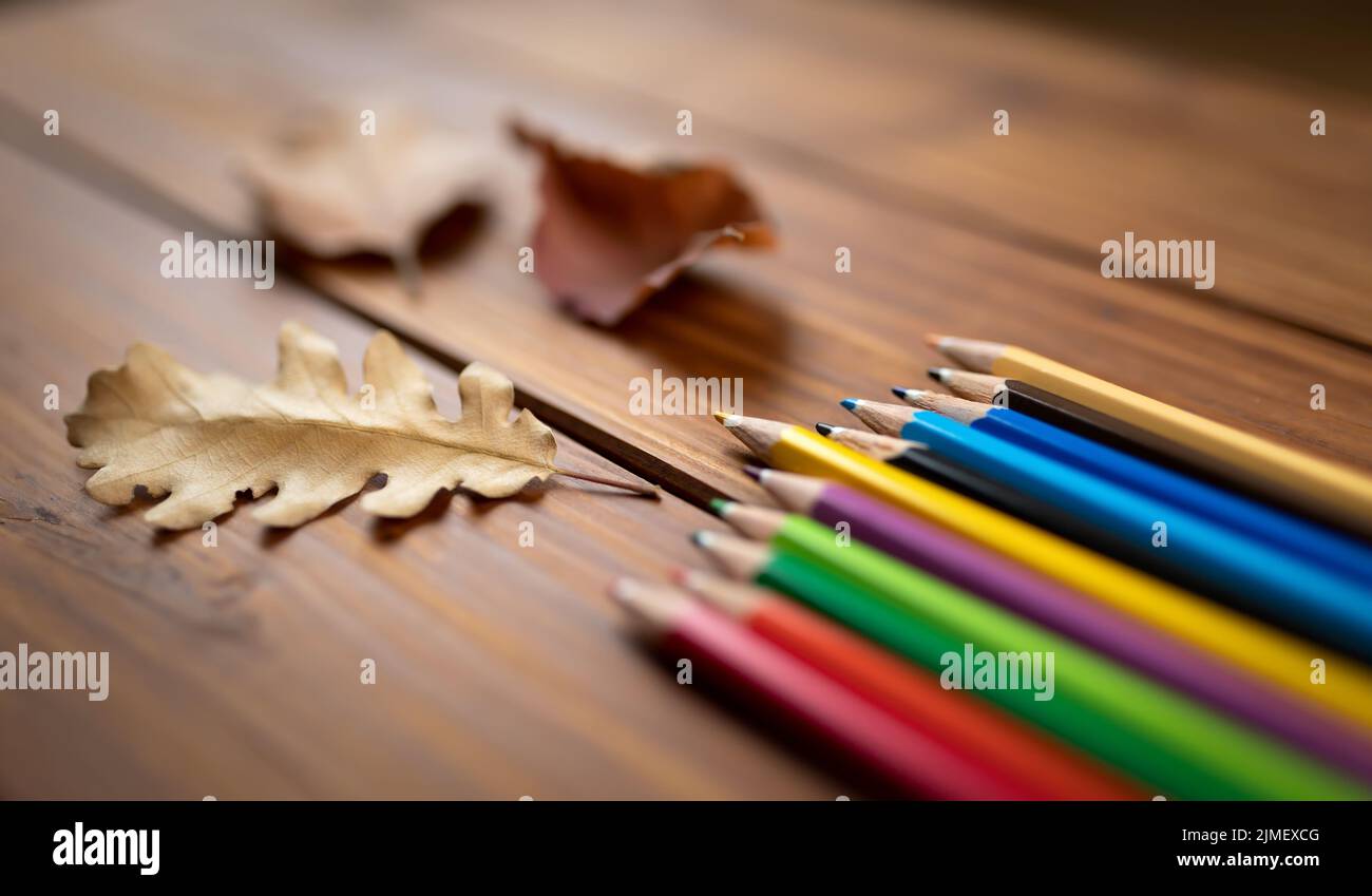 Colorful pencils and autumn leaves, back to school, fall background ...