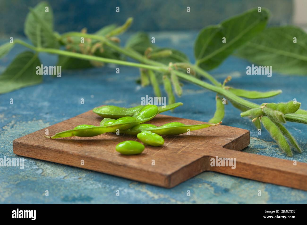 Raw Green edamame soybeans. Edamame, fresh green soybeans in pod ...