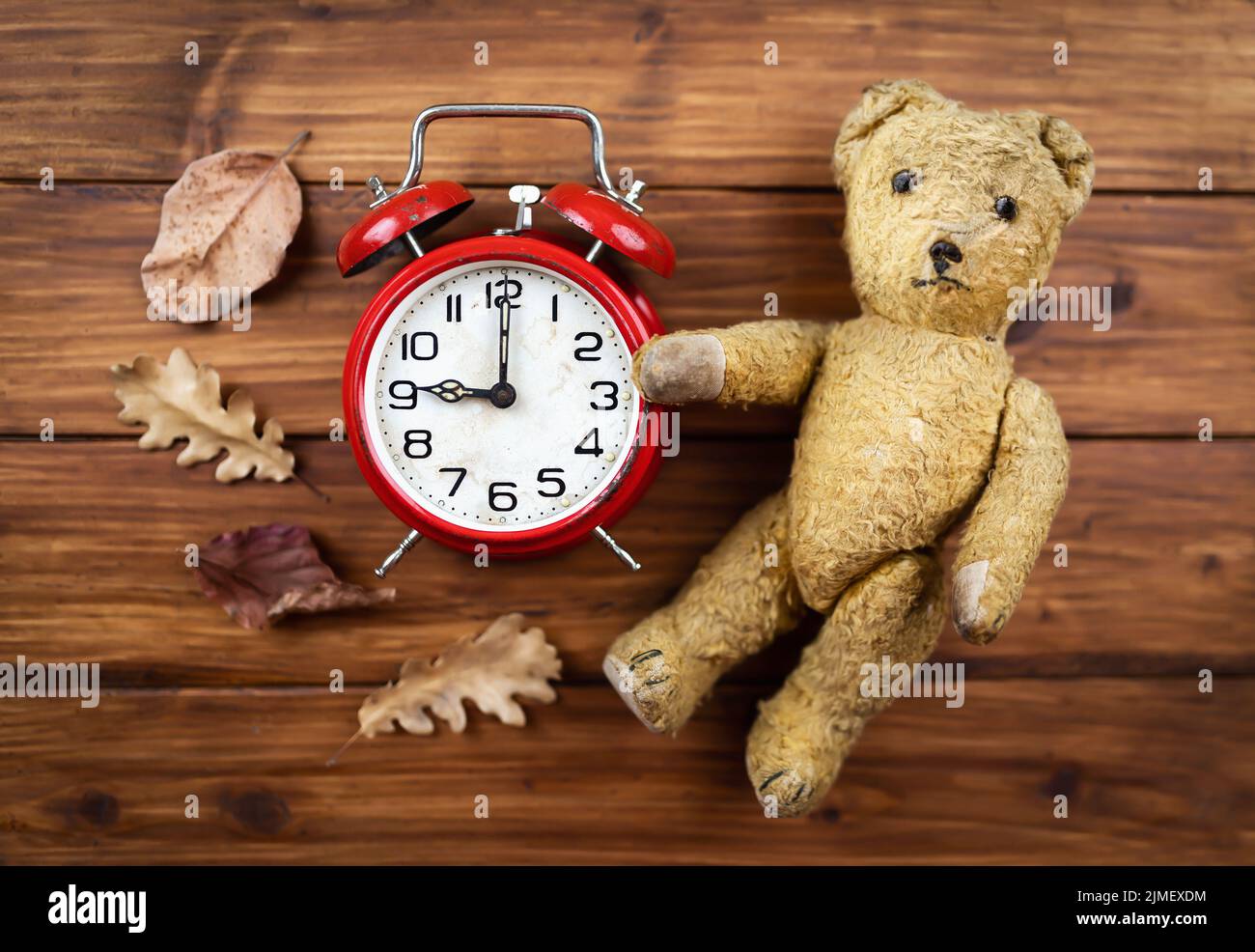 Vintage retro alarm clock, toy bear and autumn leaves. Back to school ...