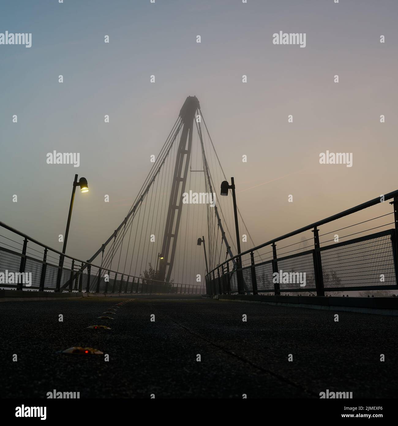 The Herrenkrugsteg, a suspension bridge over the river Elbe on the Elbe ...