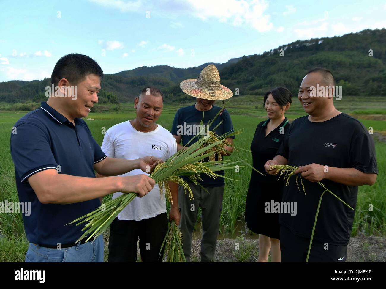 Rice planting techniques hi-res stock photography and images - Alamy