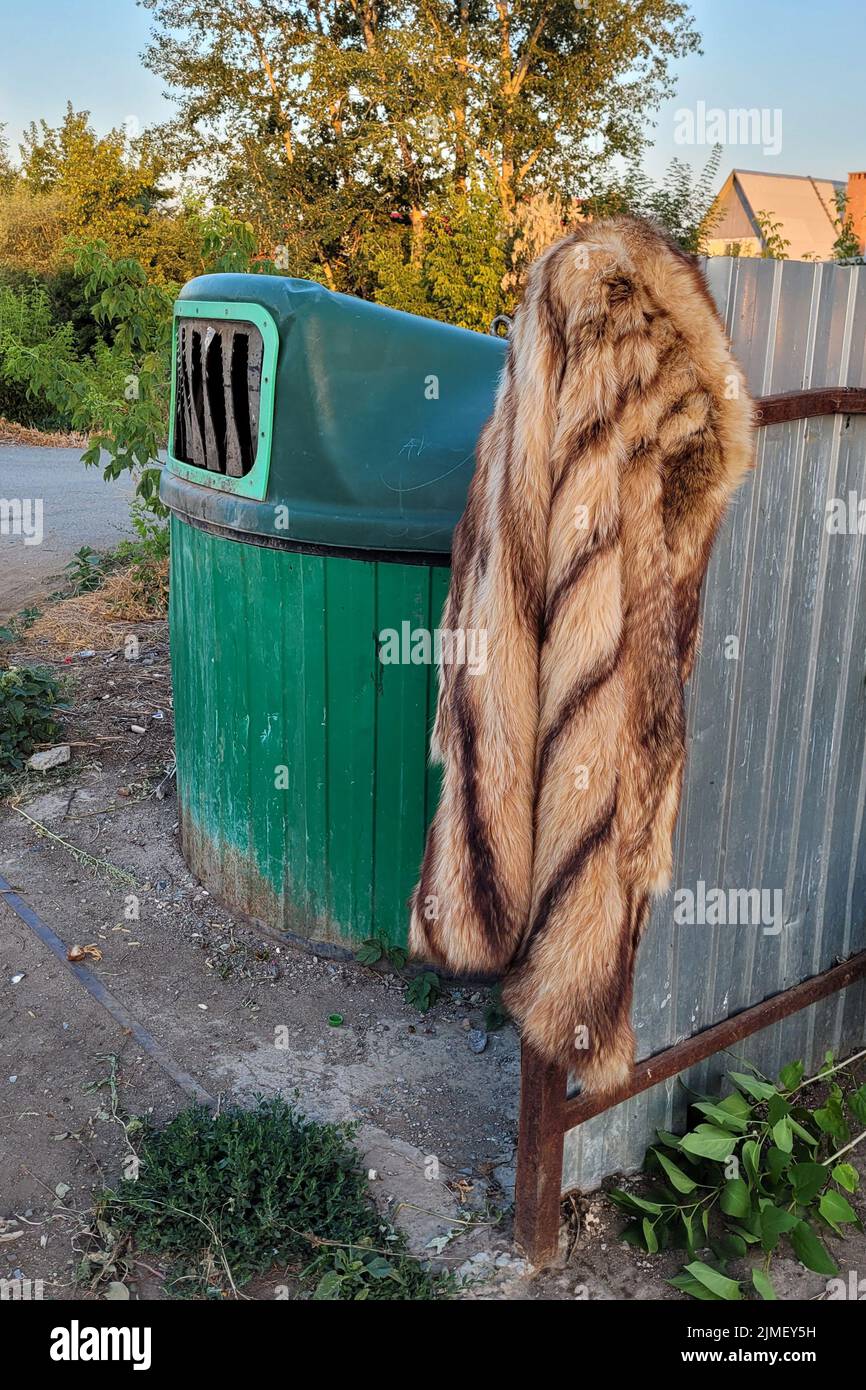 Women's natural fur coat thrown into the trash as unnecessary Stock ...