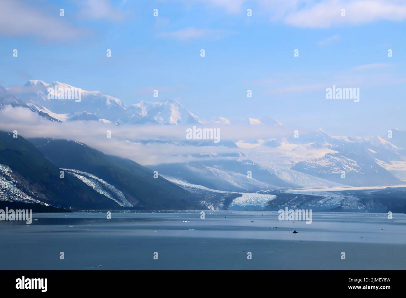 Alaska, Smith Glacier left and Harvard Glacier in College Fjord Stock ...