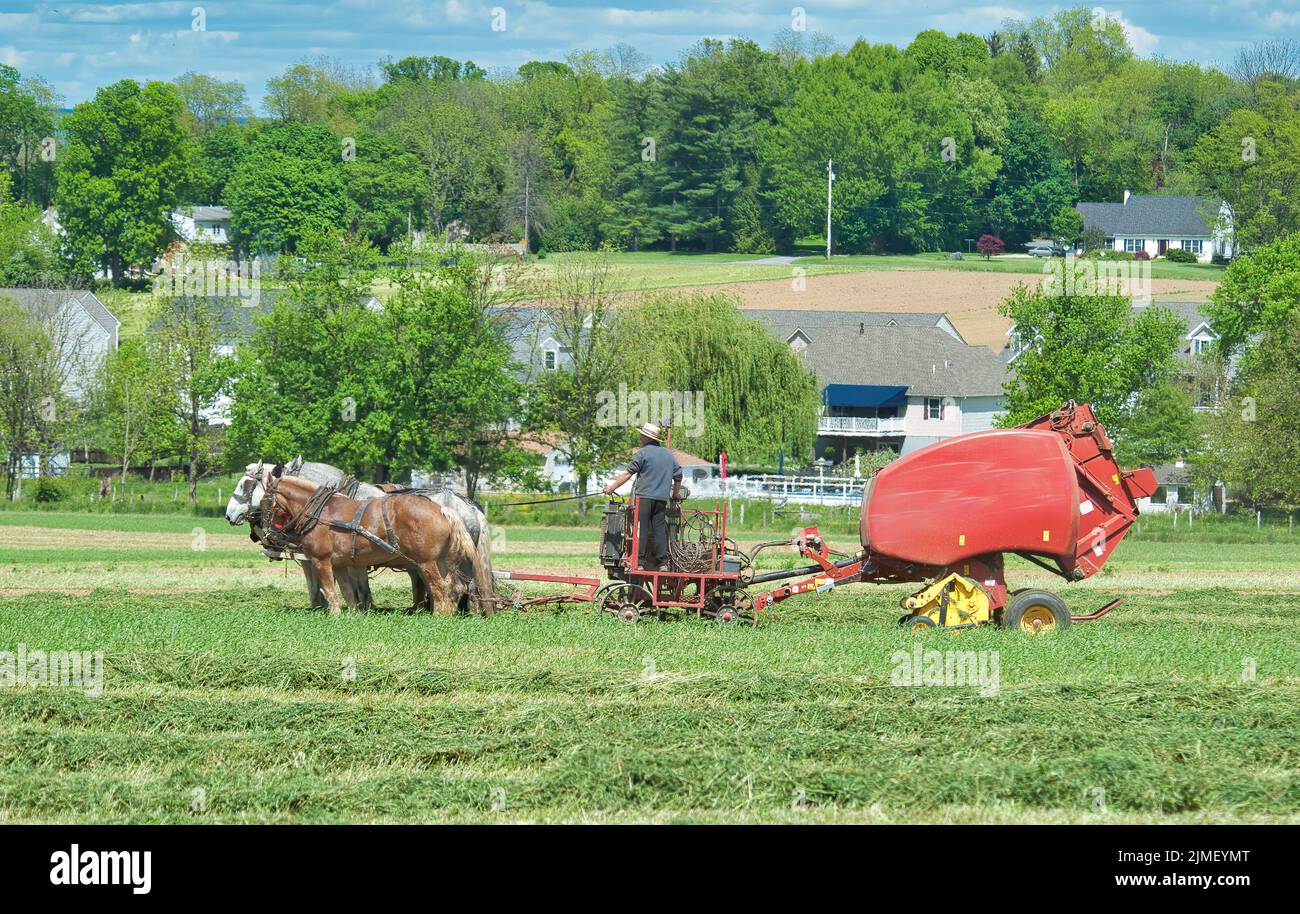 Amish farmers farm people hi-res stock photography and images - Alamy