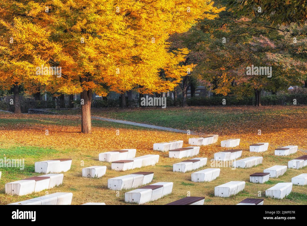 Seoul forest autumn scenery Stock Photo - Alamy
