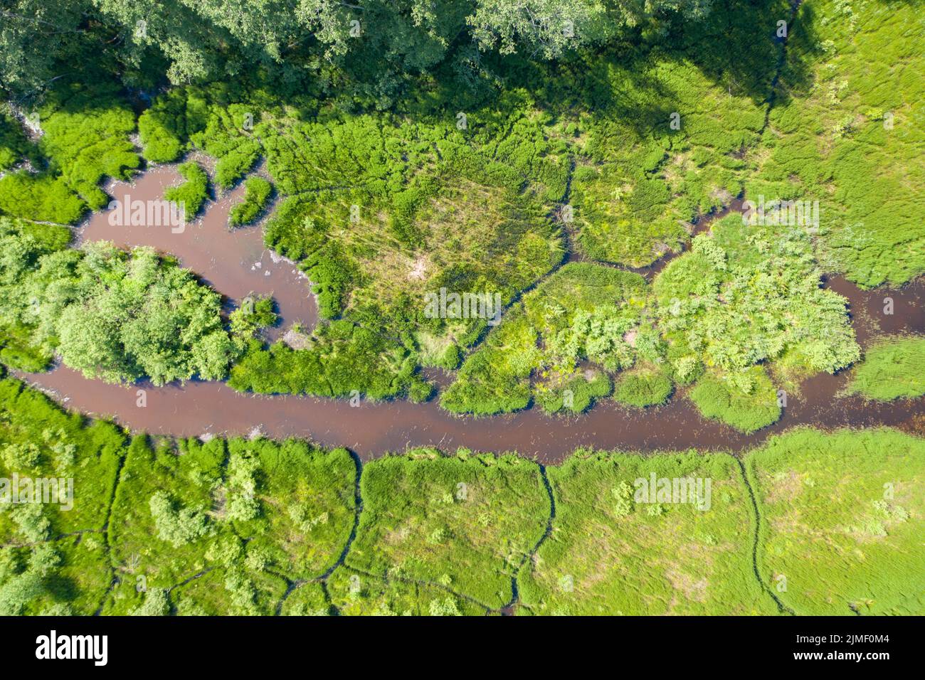 Aerial top down view of green grass and water in marsh wetland Stock ...