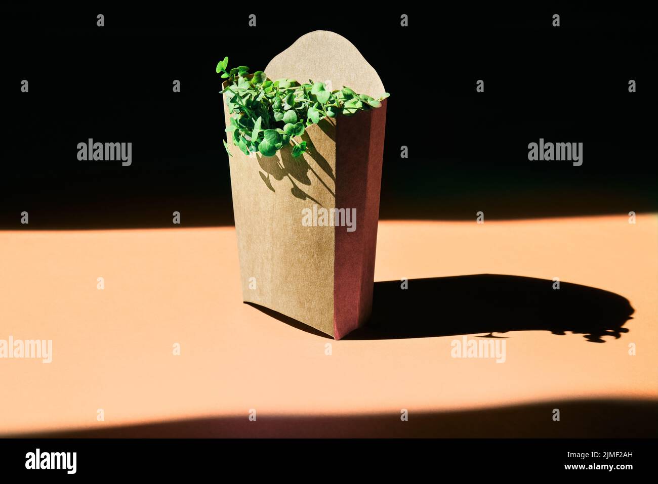 Microgreens peas growing in hi-res stock photography and images - Alamy