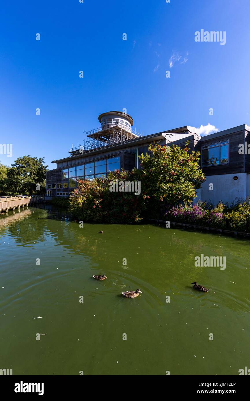 Slimbridge wwt tower hi-res stock photography and images - Alamy
