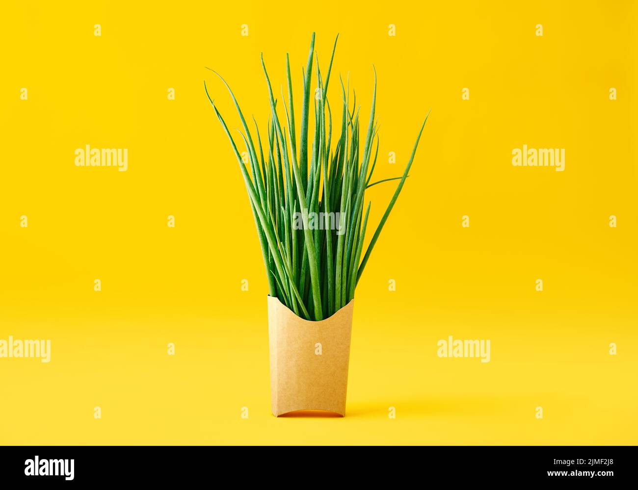Fresh green onions in fast food paper box on bright yellow background ...