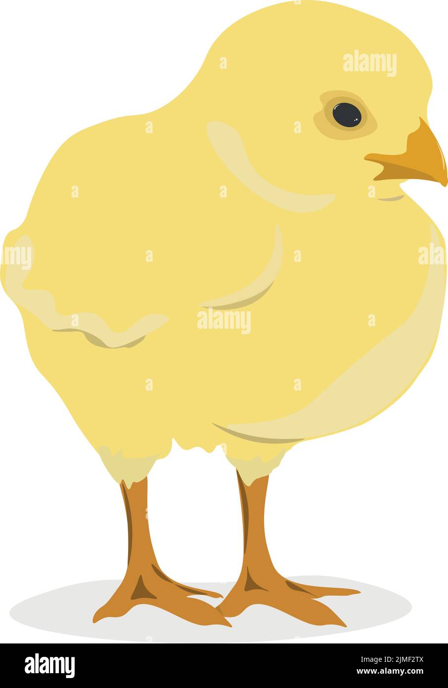 A vector illustration of yellow chicken Stock Vector Image & Art - Alamy