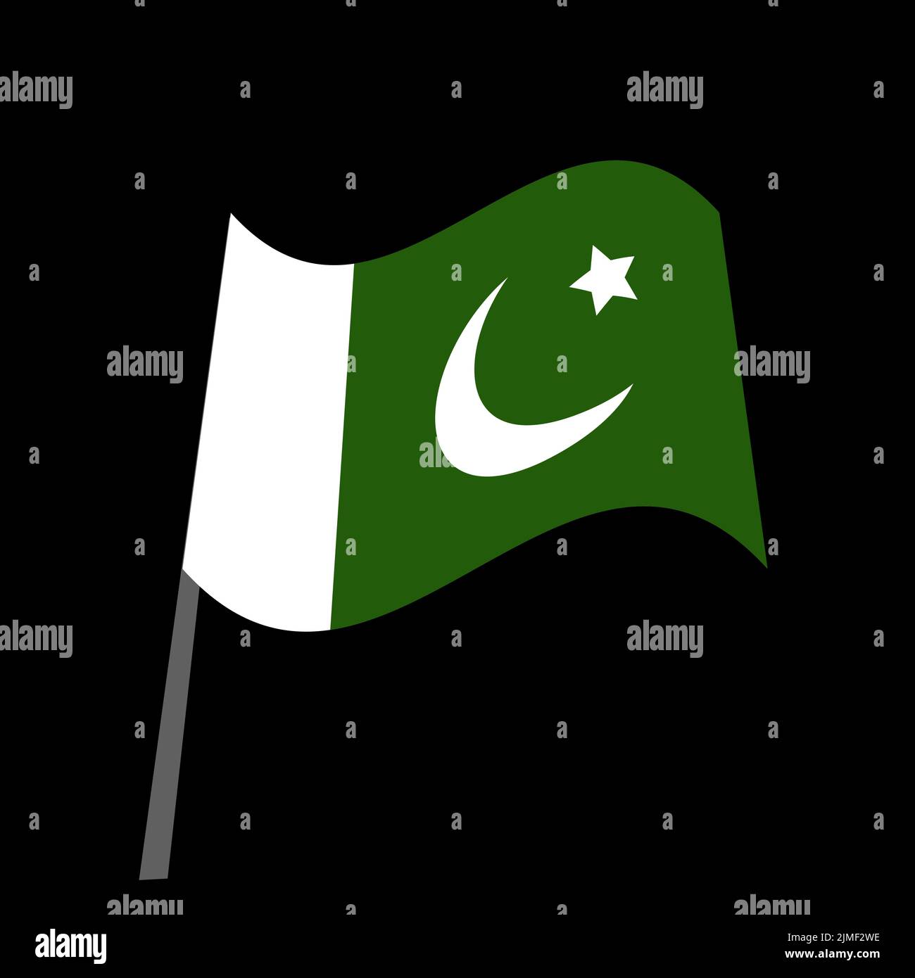 Pakistan Flag vector icon. Pakistani islamic falg Stock Vector Image ...