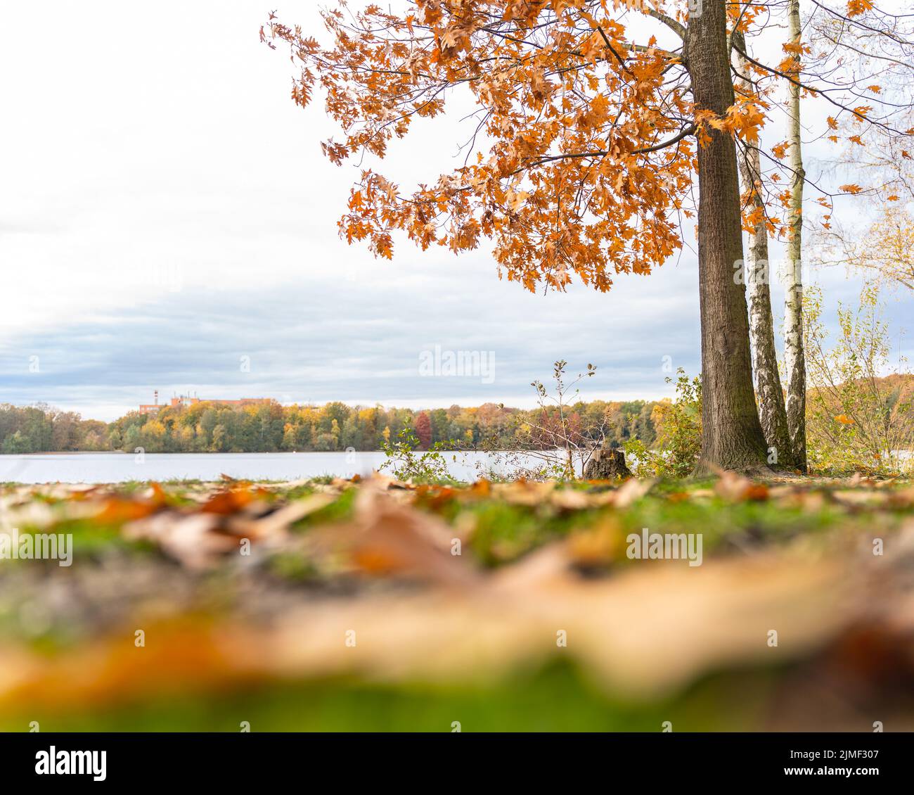 An autumn walk in the local recreation area Sechs Seenplatte Duisburg ...