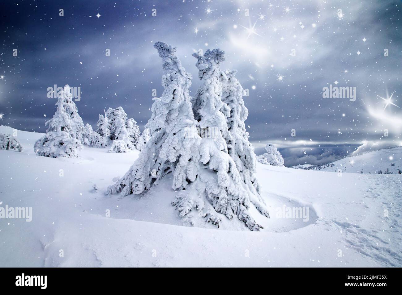 Breathtaking natural landscape frozen forest hi-res stock photography ...