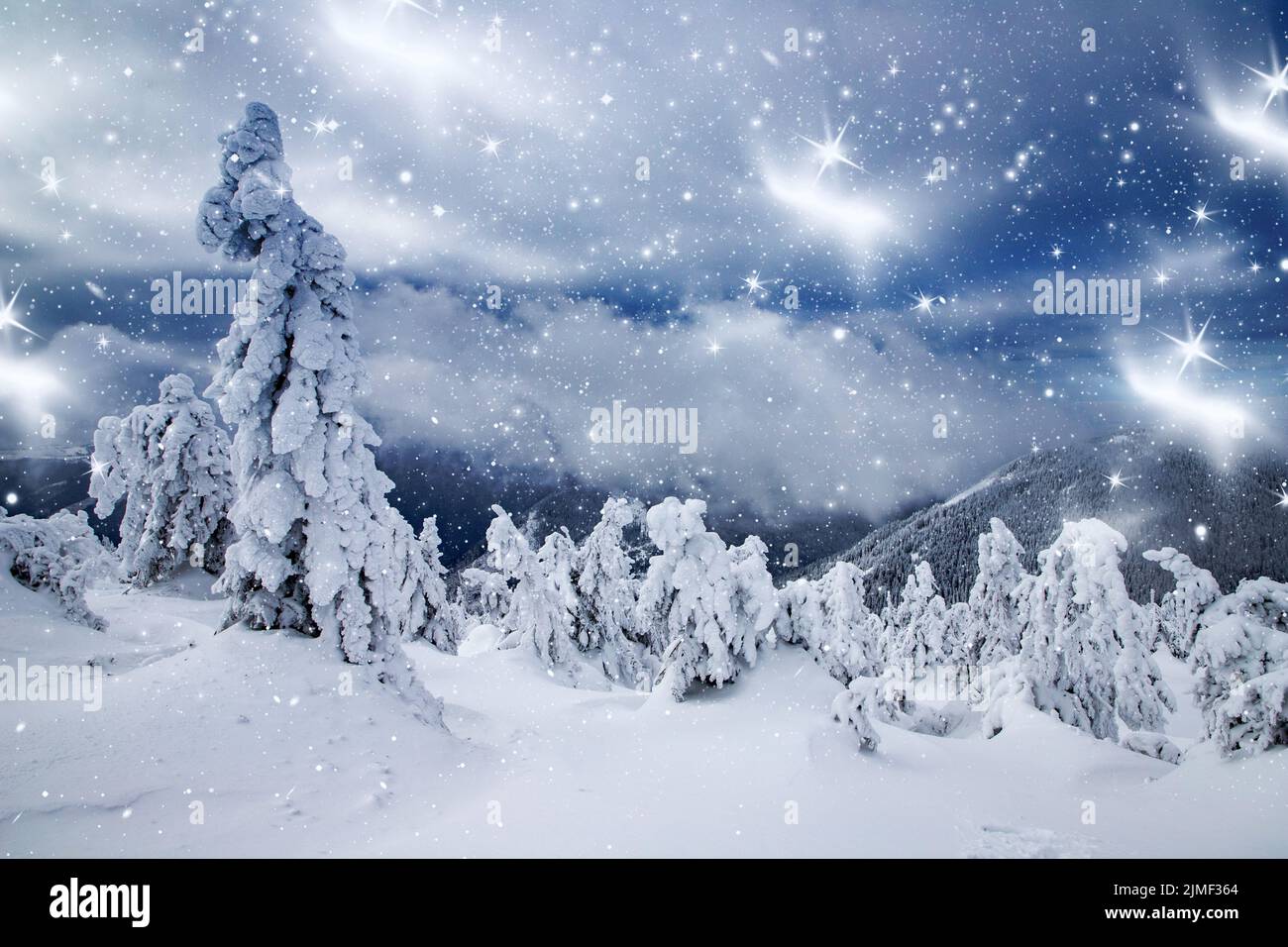 Magic winter landscape with snowy fir trees Stock Photo - Alamy