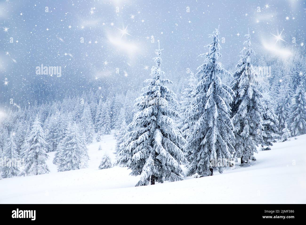 Magic winter landscape with snowy fir trees Stock Photo - Alamy