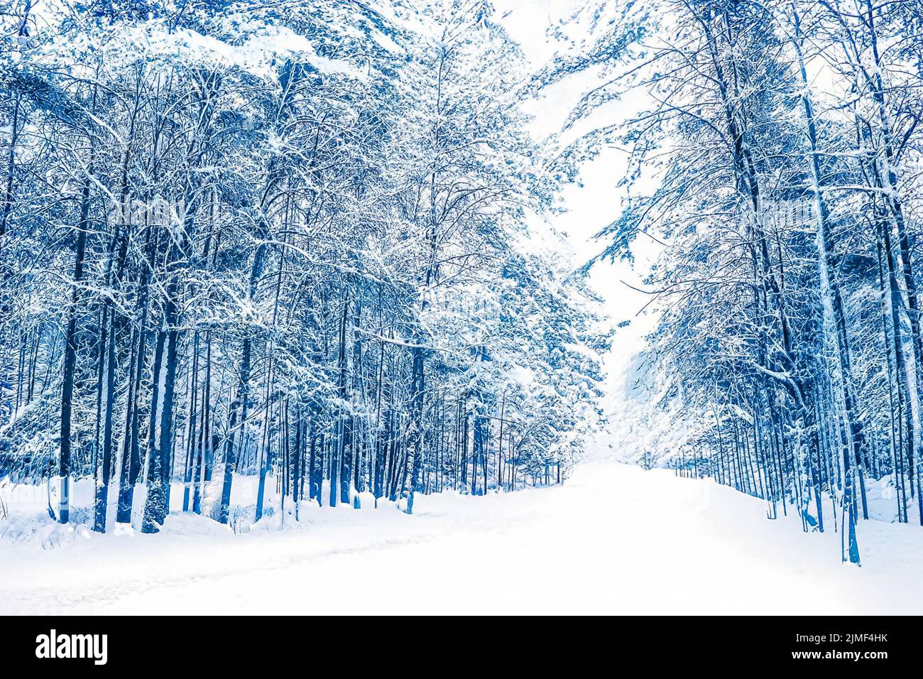 Snow falling forest landscape hi-res stock photography and images - Alamy