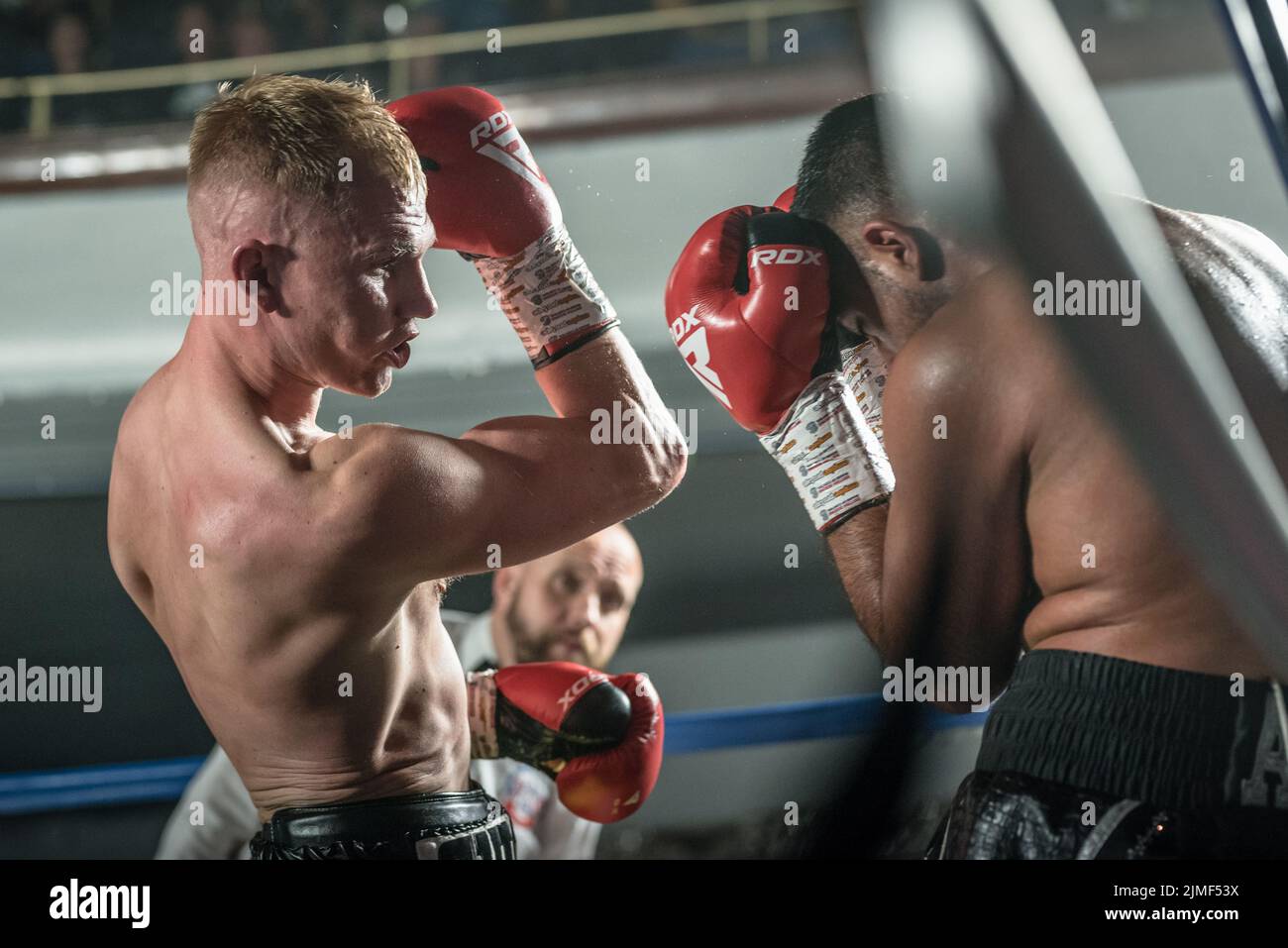 Grand central hall boxing hi-res stock photography and images - Alamy