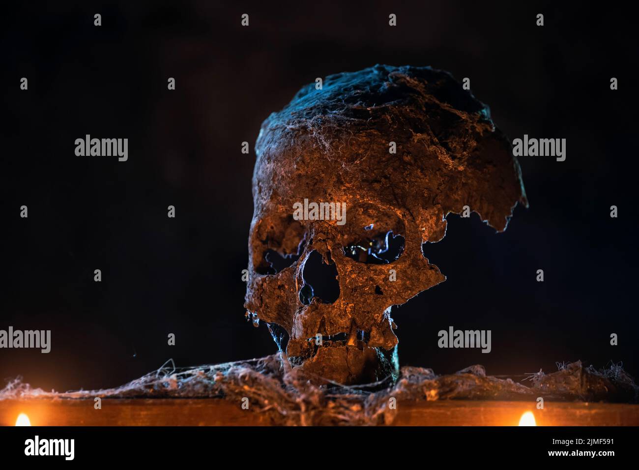Real human skull in mysterious, foggy light. Spooky, horror wallpaper ...