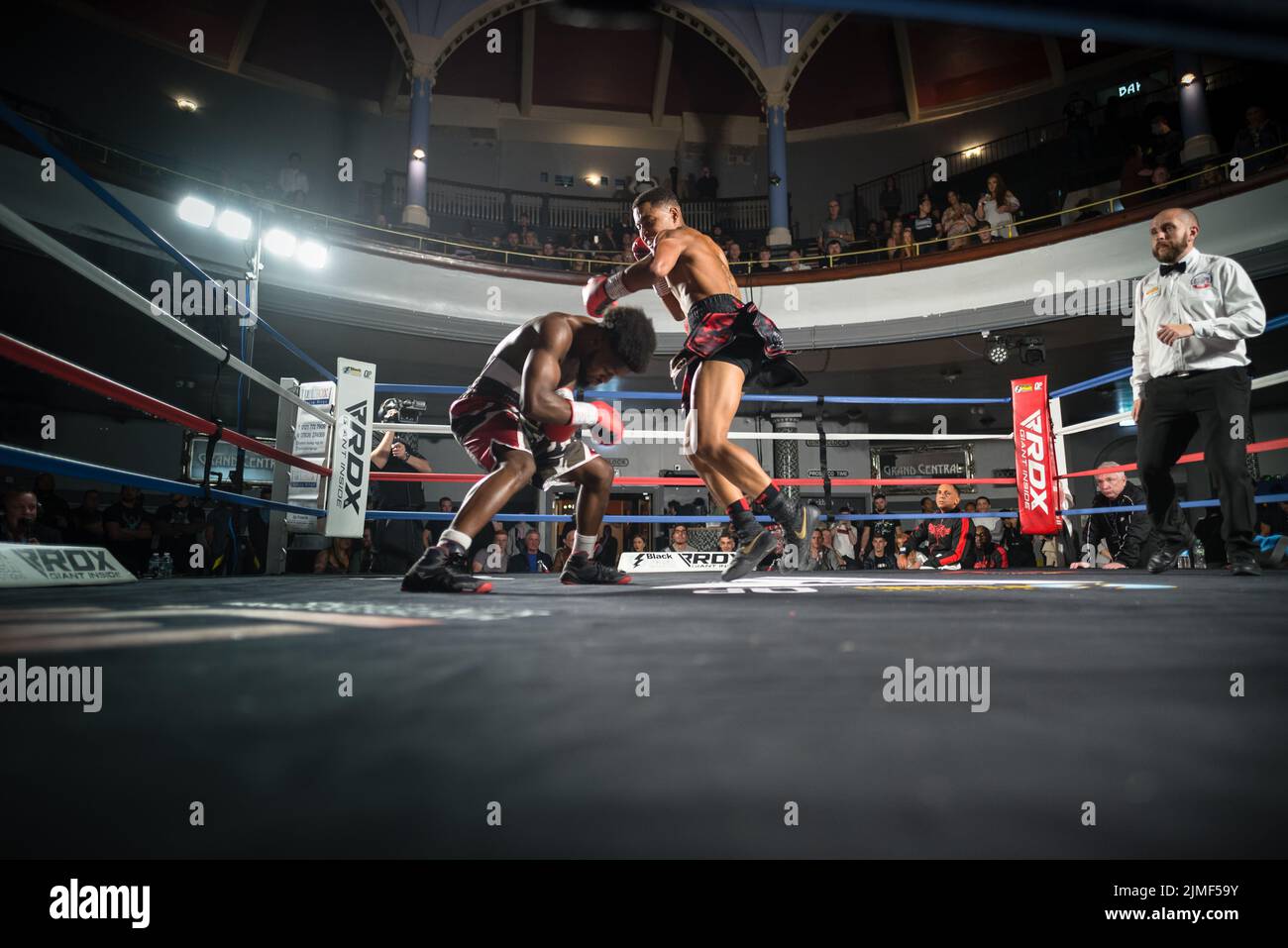 Marcel braithwaite boxer hi-res stock photography and images - Alamy