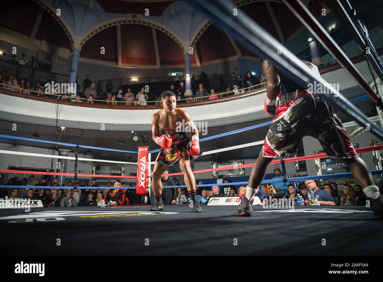 Marcel braithwaite boxer hi-res stock photography and images - Alamy