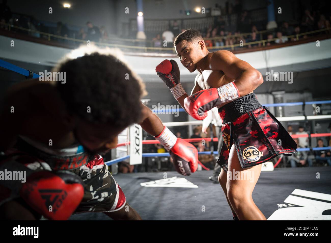 Marcel braithwaite boxer hi-res stock photography and images - Alamy