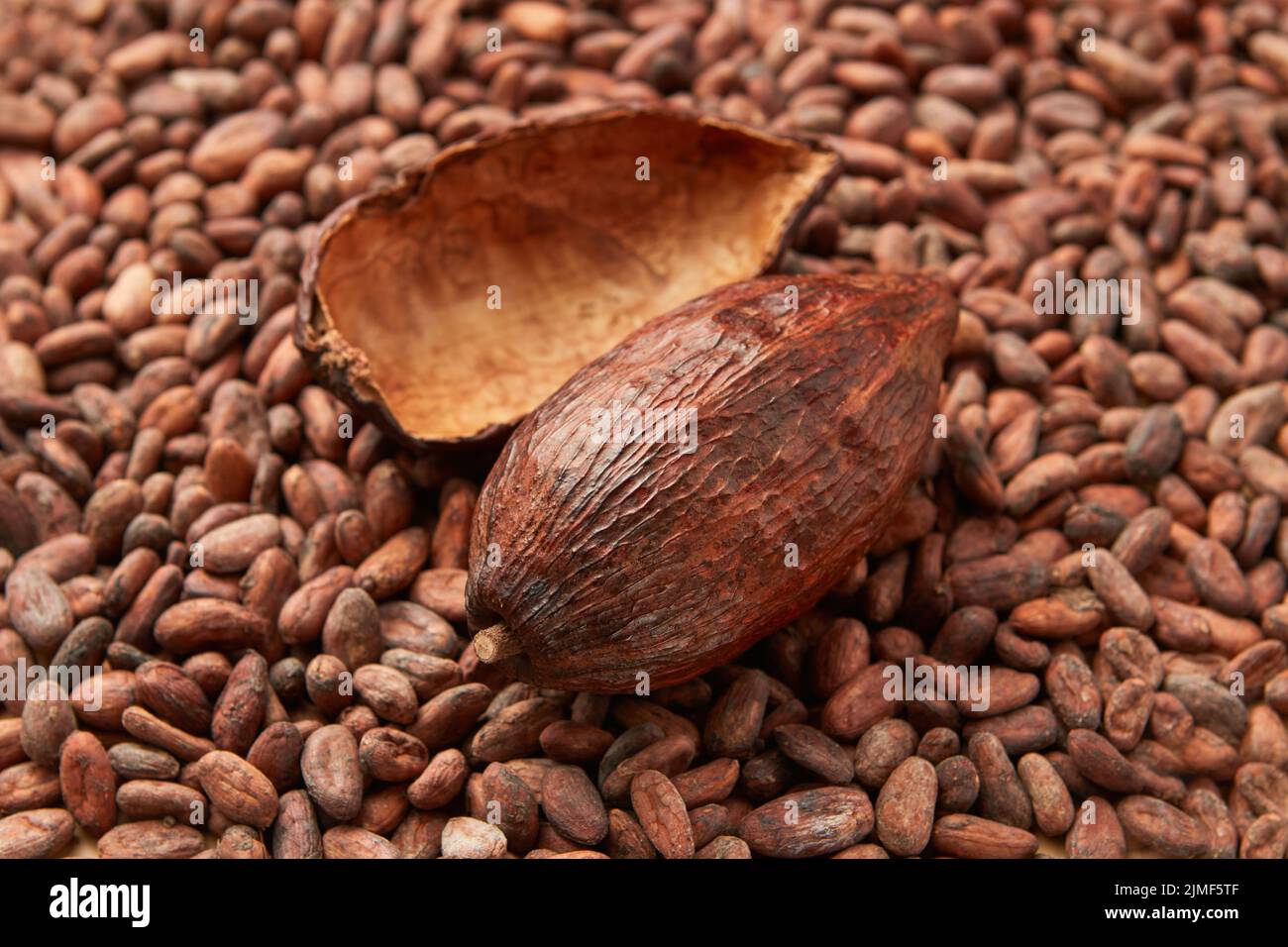 Whole pod of cocoa tree Stock Photo - Alamy