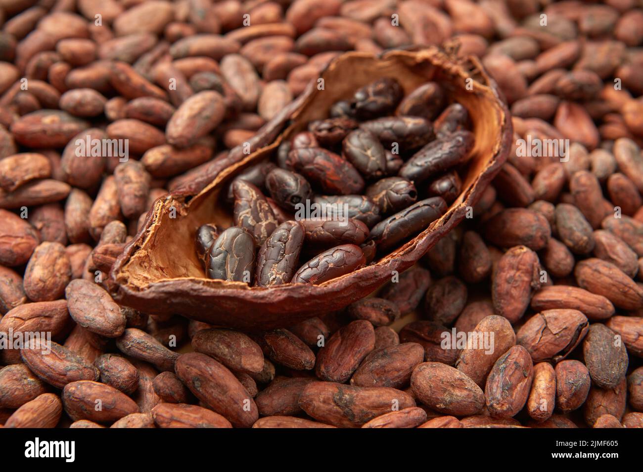 Pile of raw aromatic cocoa beans Stock Photo - Alamy