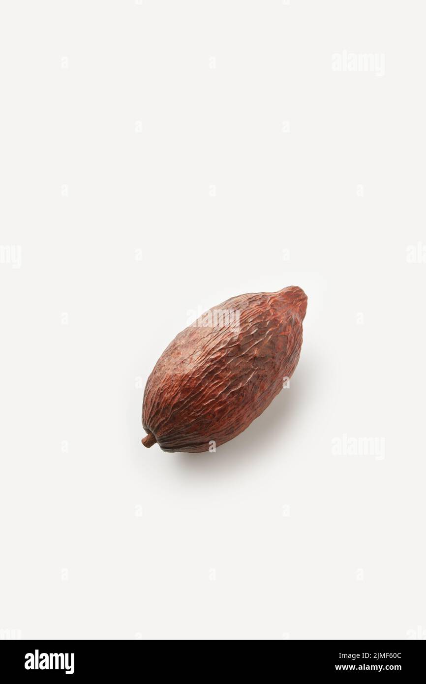 Single whole cocoa tree pod Stock Photo - Alamy