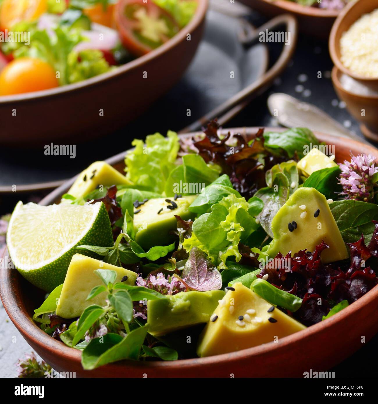 Clay dish with salad of avocado, green and violet lettuce, lamb's ...