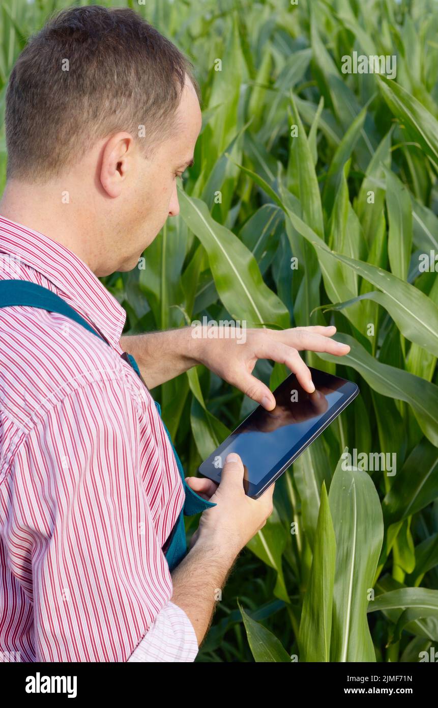 Inspecting crop hi-res stock photography and images - Alamy