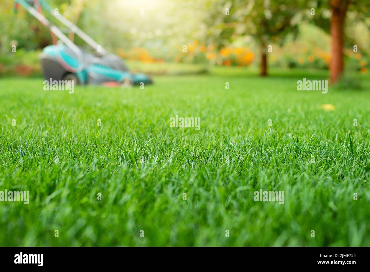 Lawn mower on grass closeup view. Lawn care concept Stock Photo - Alamy