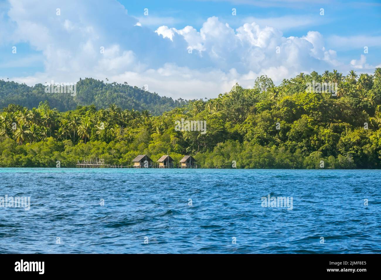 Tropical Shore with a Rainforest and Three Huts on Stilts in Water ...