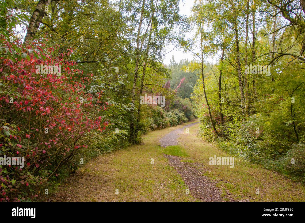 Peaceful trail hi-res stock photography and images - Alamy