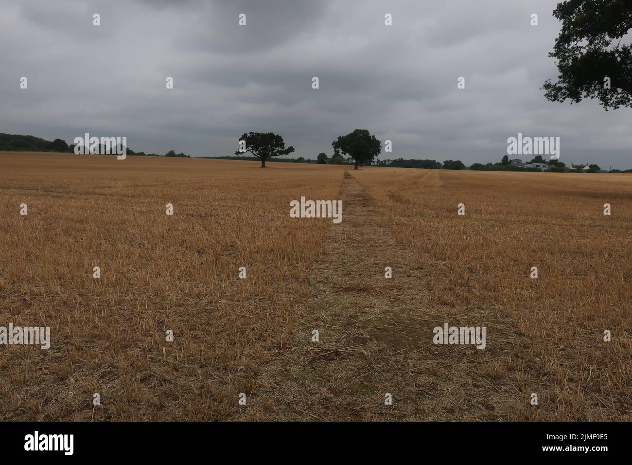 Macmillan Cross Britain Way long distance trail. England. United ...