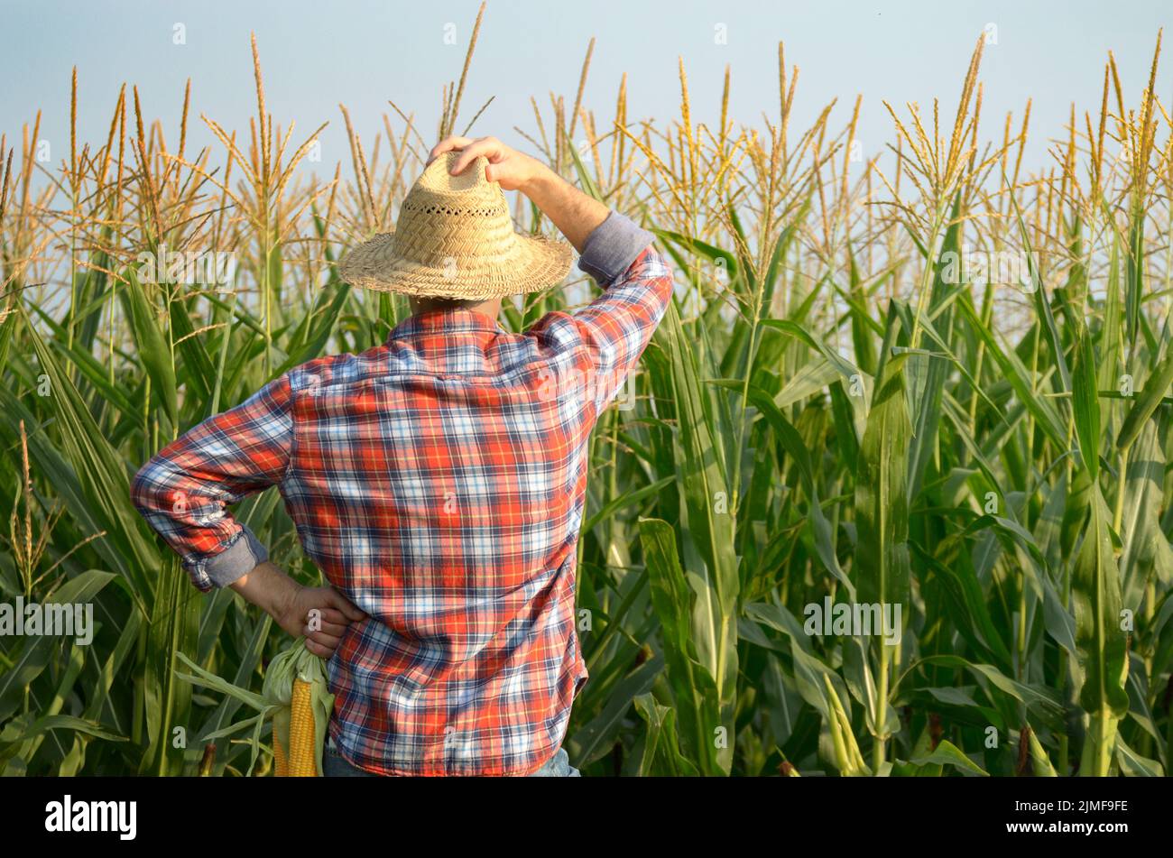 Tired farm worker stands hi-res stock photography and images - Alamy