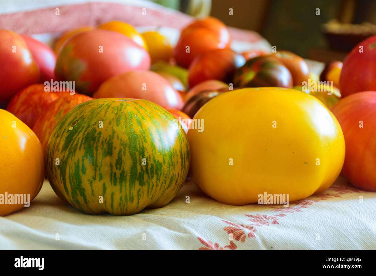 photo of beautiful tomatoes on the table, healthy diet, autumn harvest ...