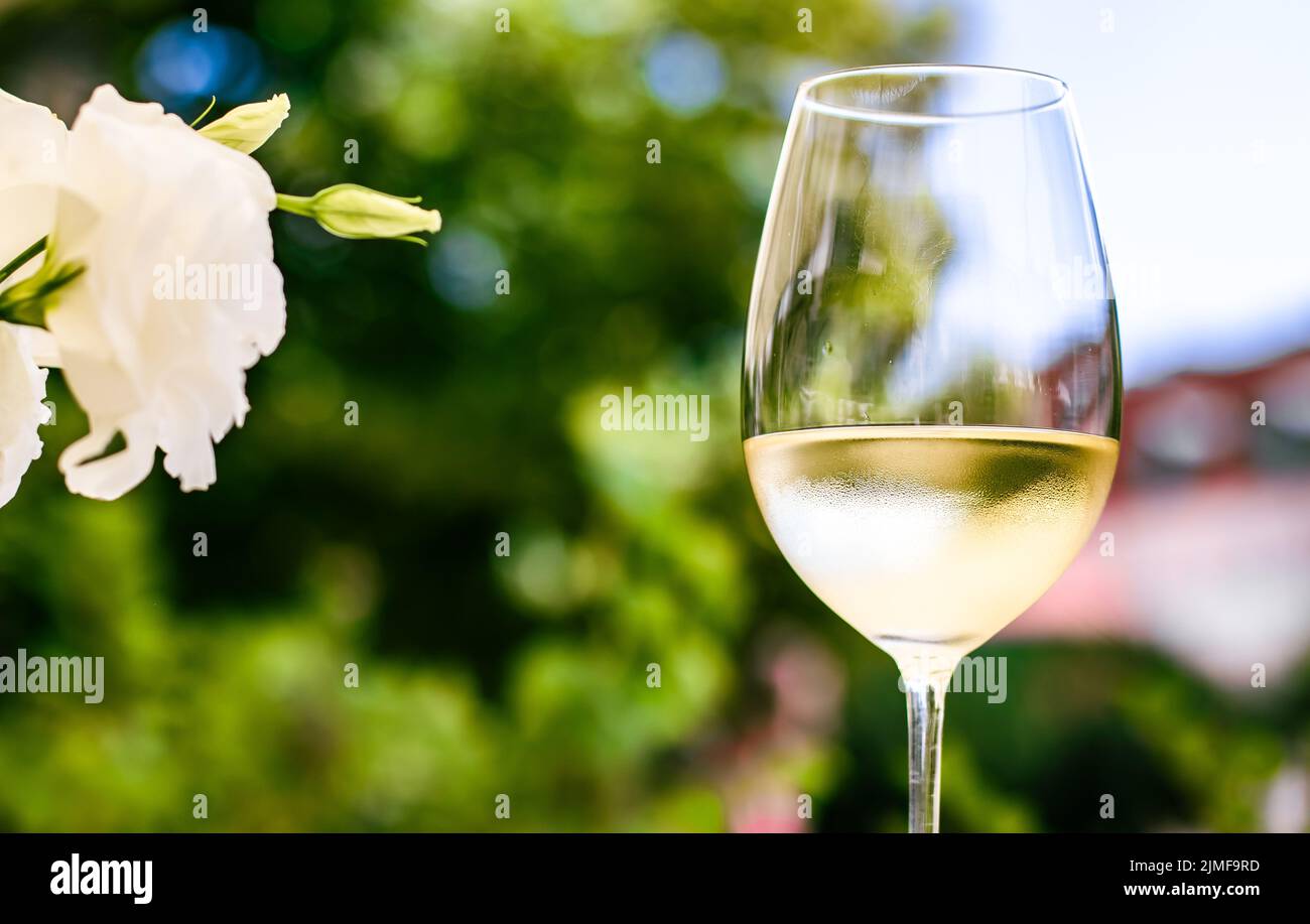 White wine in luxury restaurant on summer garden terrace, wine tasting ...