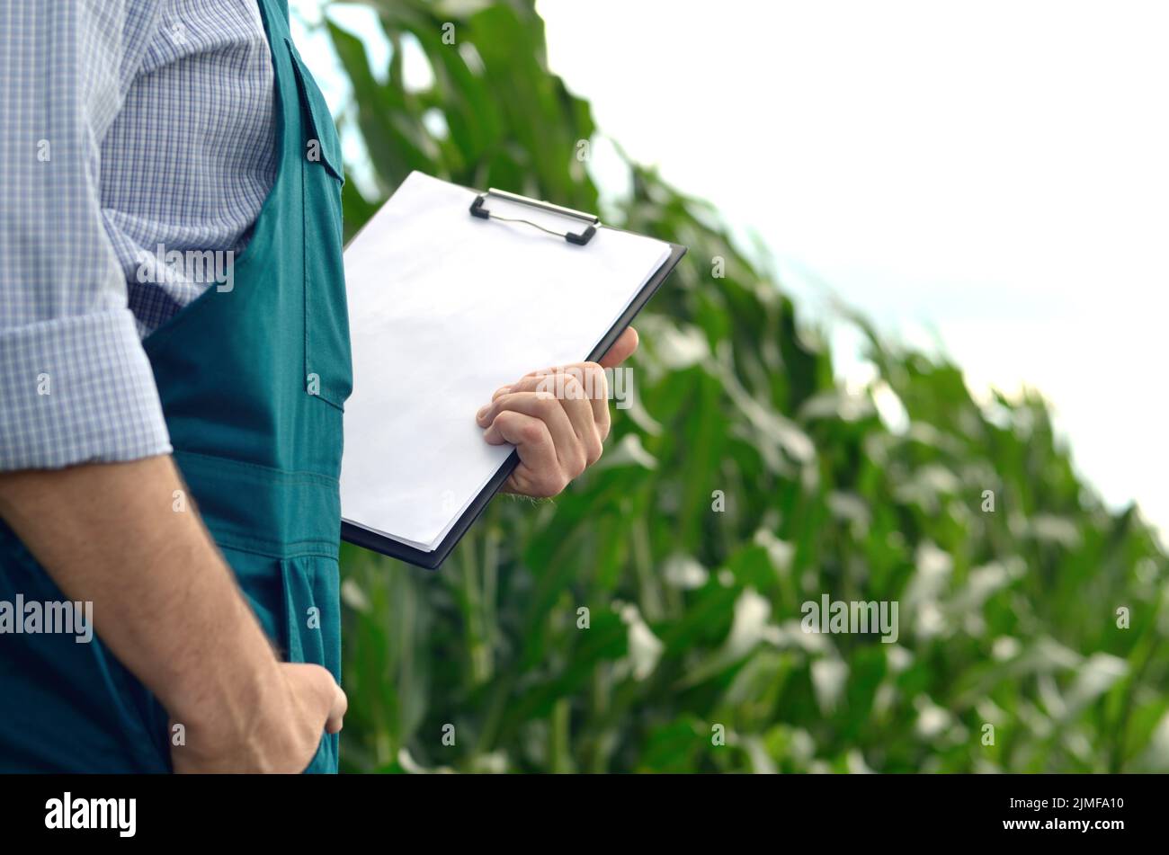 Farmer with clipboard inspecting corn at field Stock Photo - Alamy