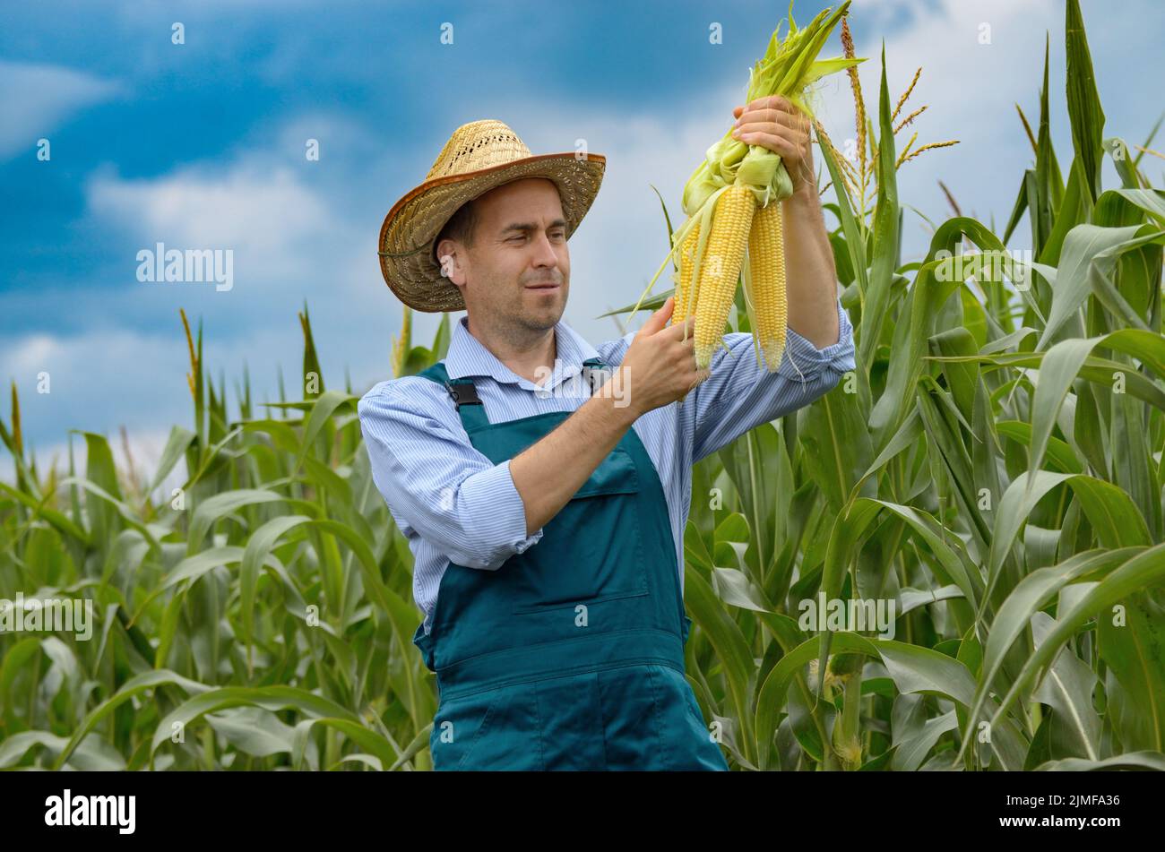 Male farmer hands holding green hi-res stock photography and images - Alamy
