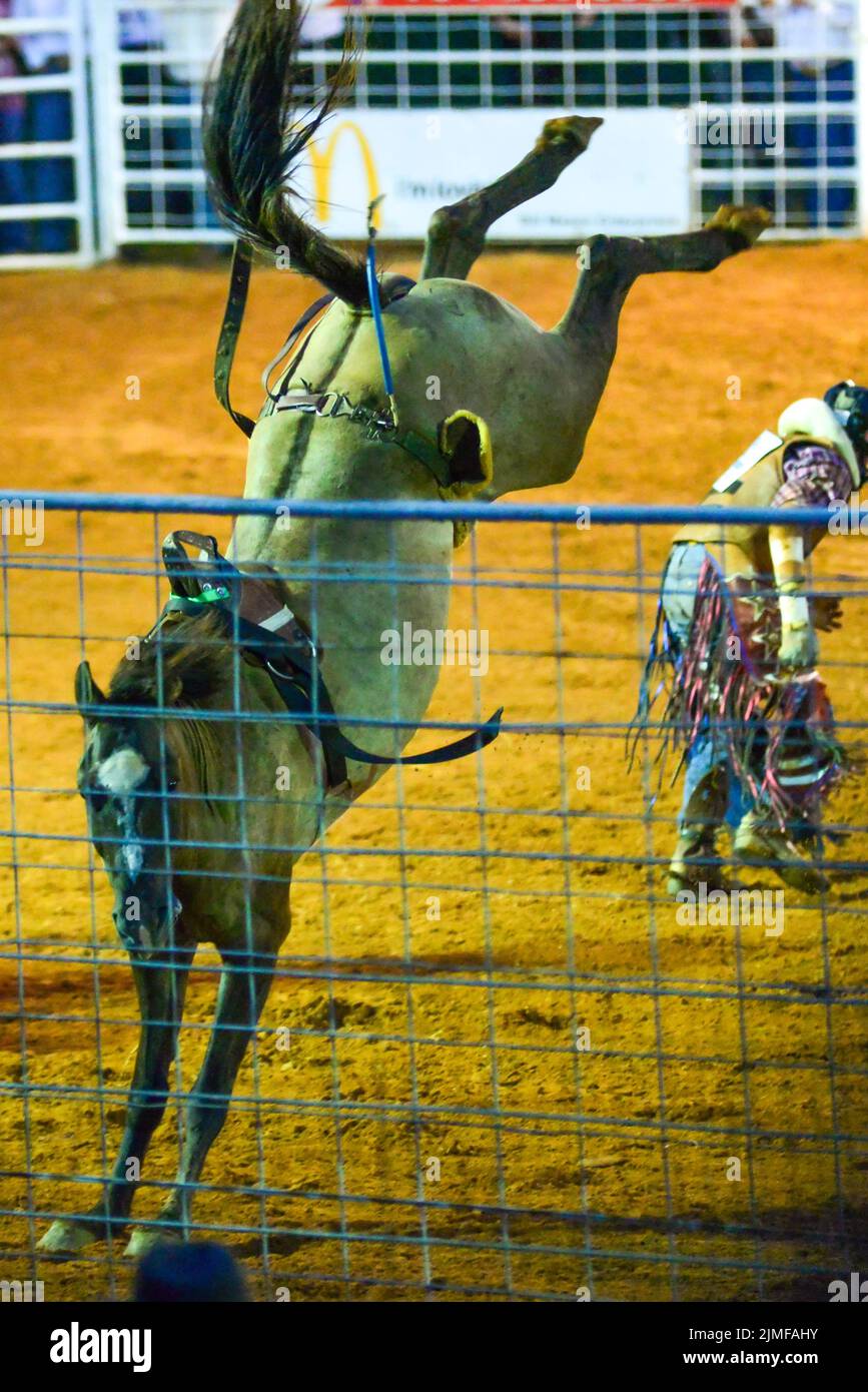 Crazy evening hi-res stock photography and images - Alamy