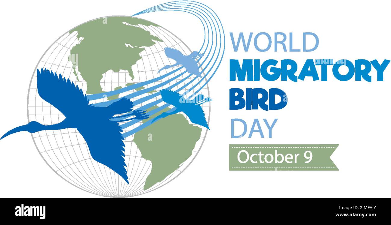 World Migratory Bird Day Banner Concept illustration Stock Vector Image ...