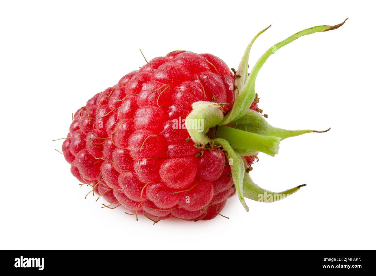 Raspberry berry isolated on white background Stock Photo - Alamy