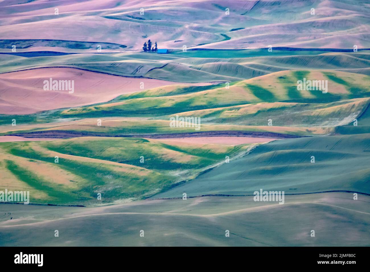 Green rolling hills of farmland wheat fields seen from the Palouse ...