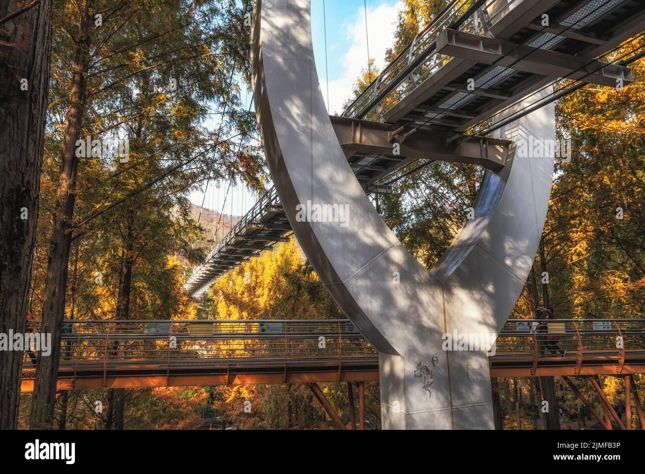 Jangtaesan Recreational Forest Suspension Bridge Stock Photo - Alamy