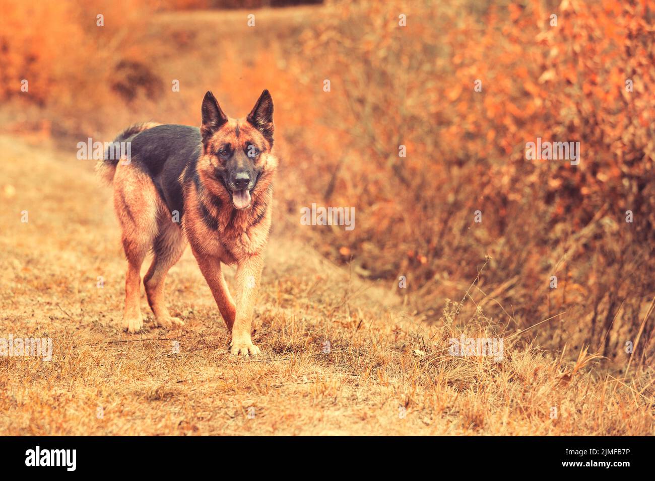 Go horizontal hi-res stock photography and images - Alamy