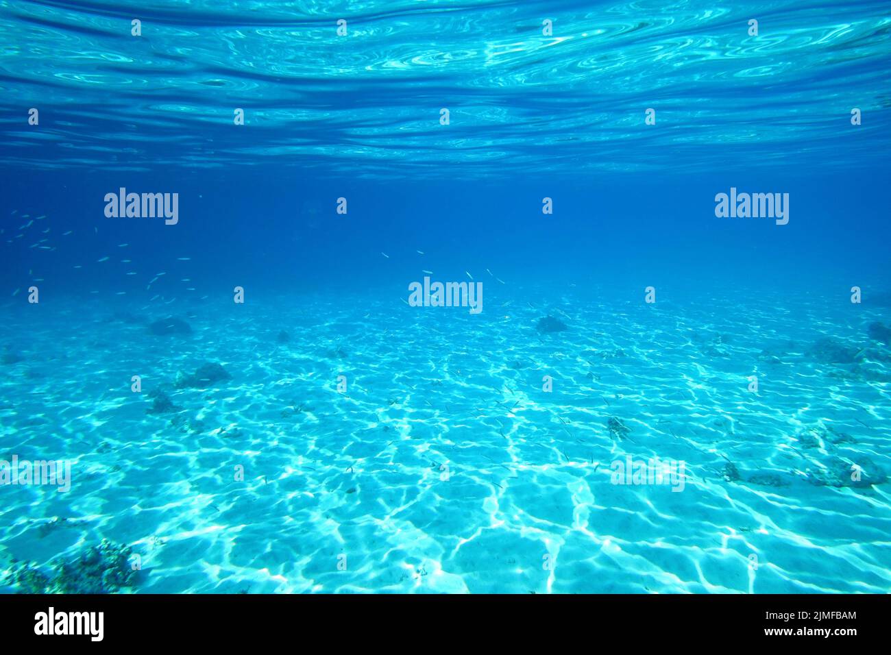 Underwater shallow sandy ocean floor hi-res stock photography and ...