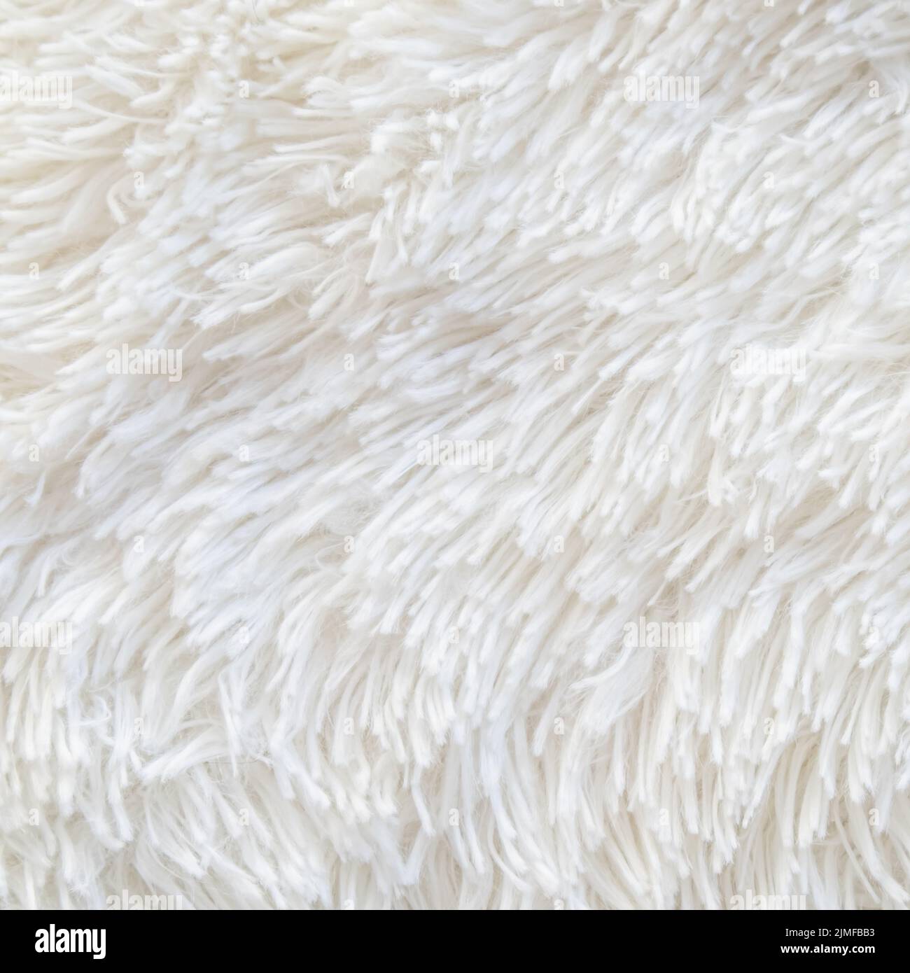 Long pile carpet texture. Abstract background of shaggy white fibers ...