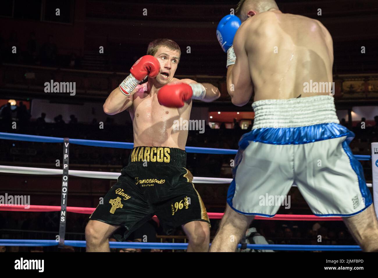 Vip professional boxing hi-res stock photography and images - Alamy